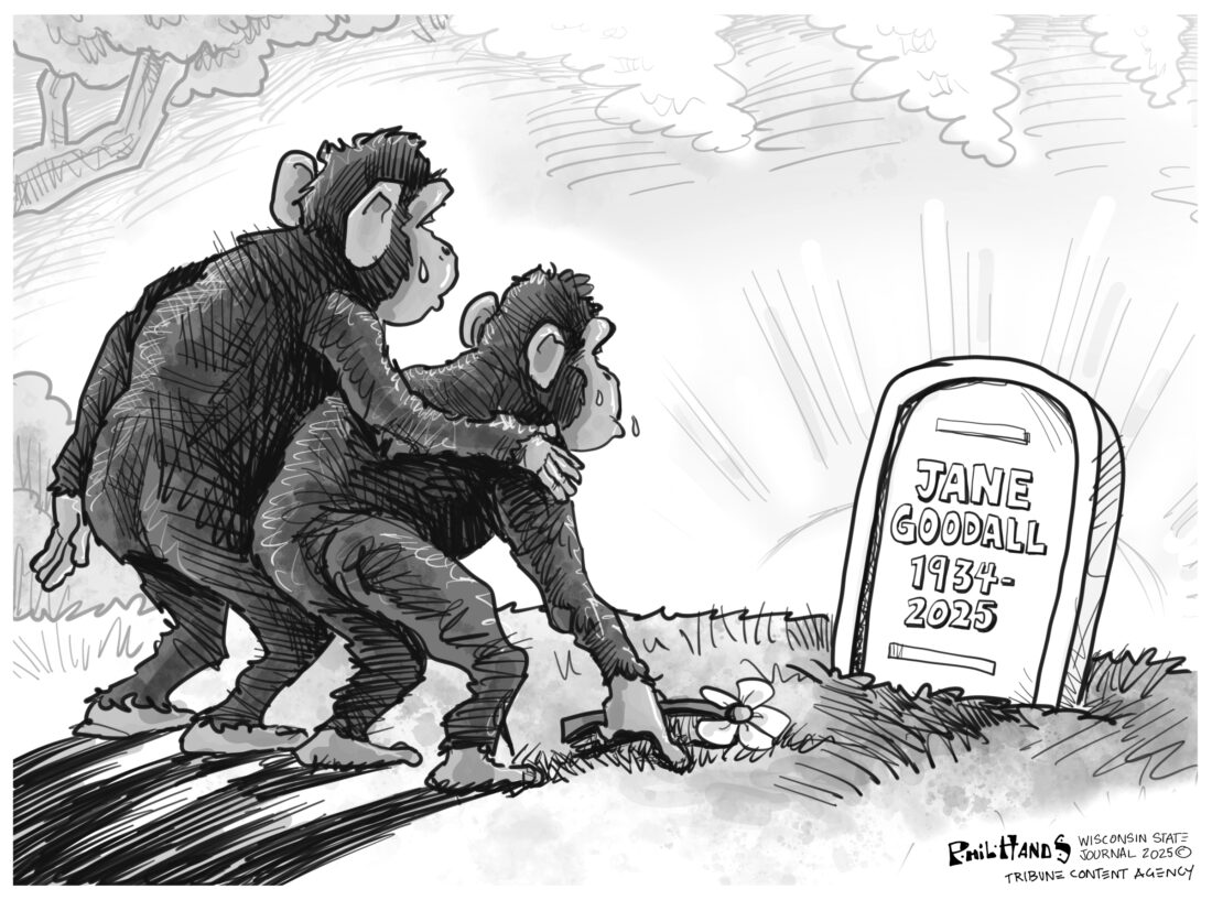 Cartoon commentary | News, Sports, Jobs - The Mining Journal